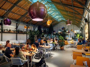 Creating Intimate Spaces in Fine Dining Restaurants